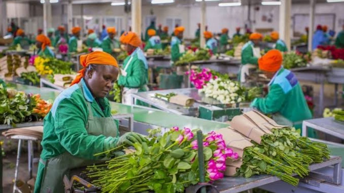 Strengthening Agricultural Market