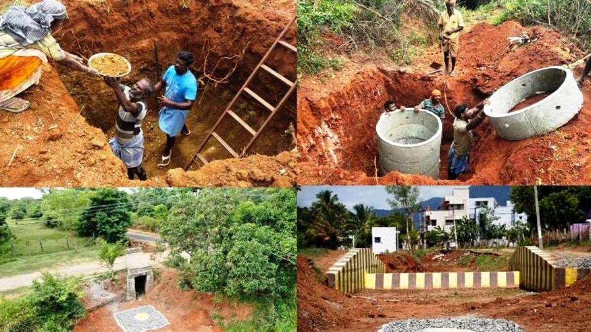 Dindigul District in Tamil Nadu Sets World Record for establishing 2050 ...