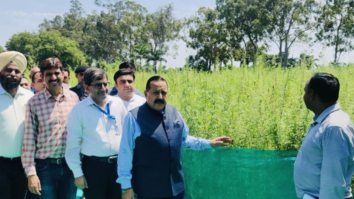Jammu to pioneer India's first Cannabis Medicine Project